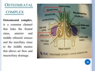 Lateral wall of nose | PPTX