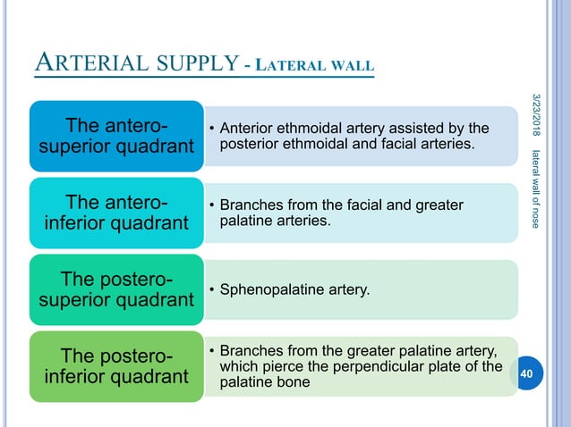 Lateral wall of nose | PPTX | Ear, Nose and Throat Conditions ...