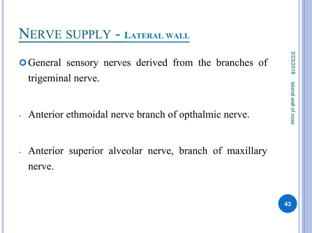 Lateral wall of nose | PPTX | Ear, Nose and Throat Conditions ...