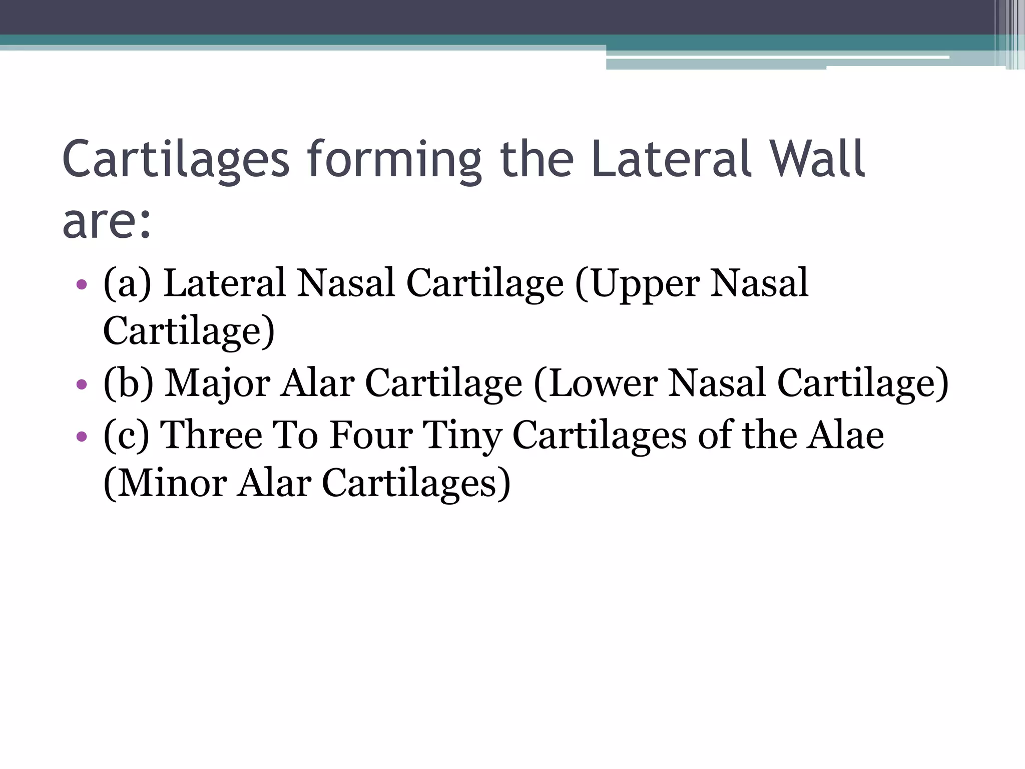Lateral Wall of Nose | PPTX