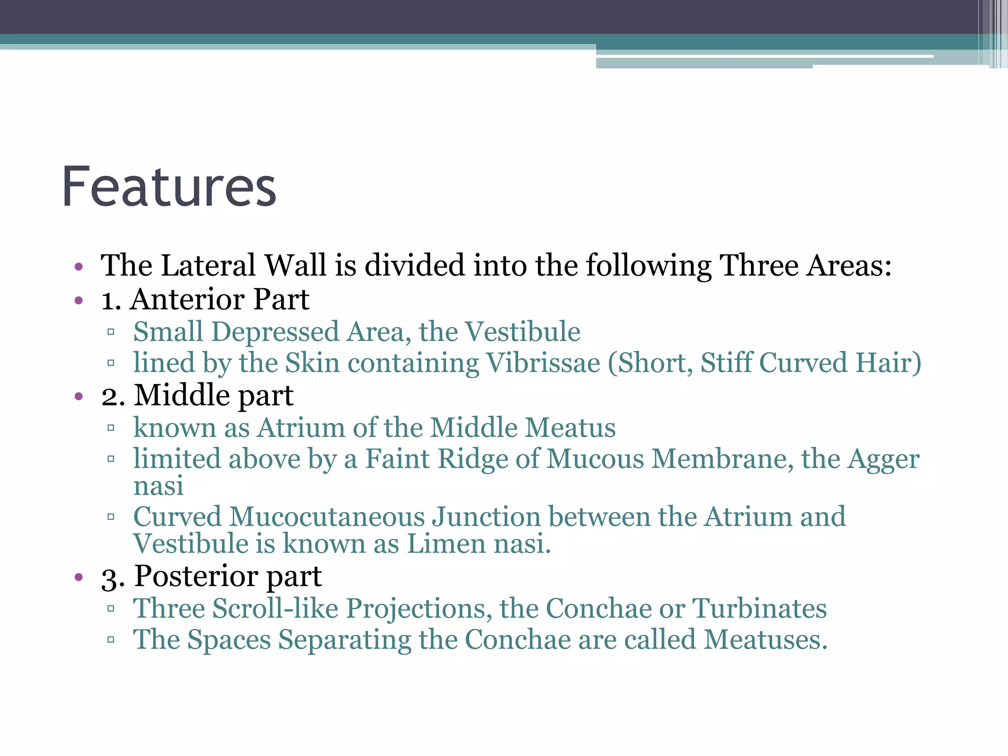 Lateral Wall of Nose | PPTX