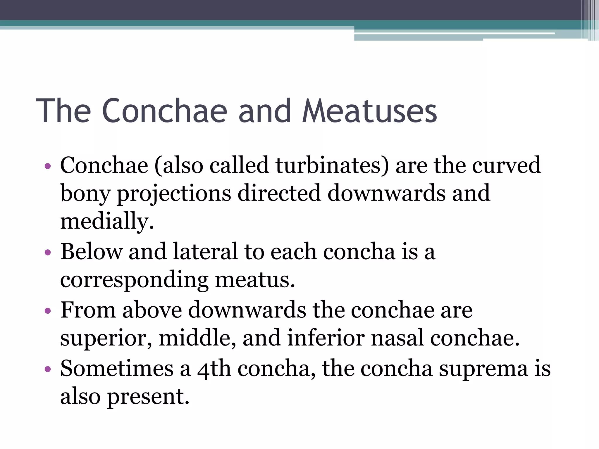 Lateral Wall of Nose | PPTX