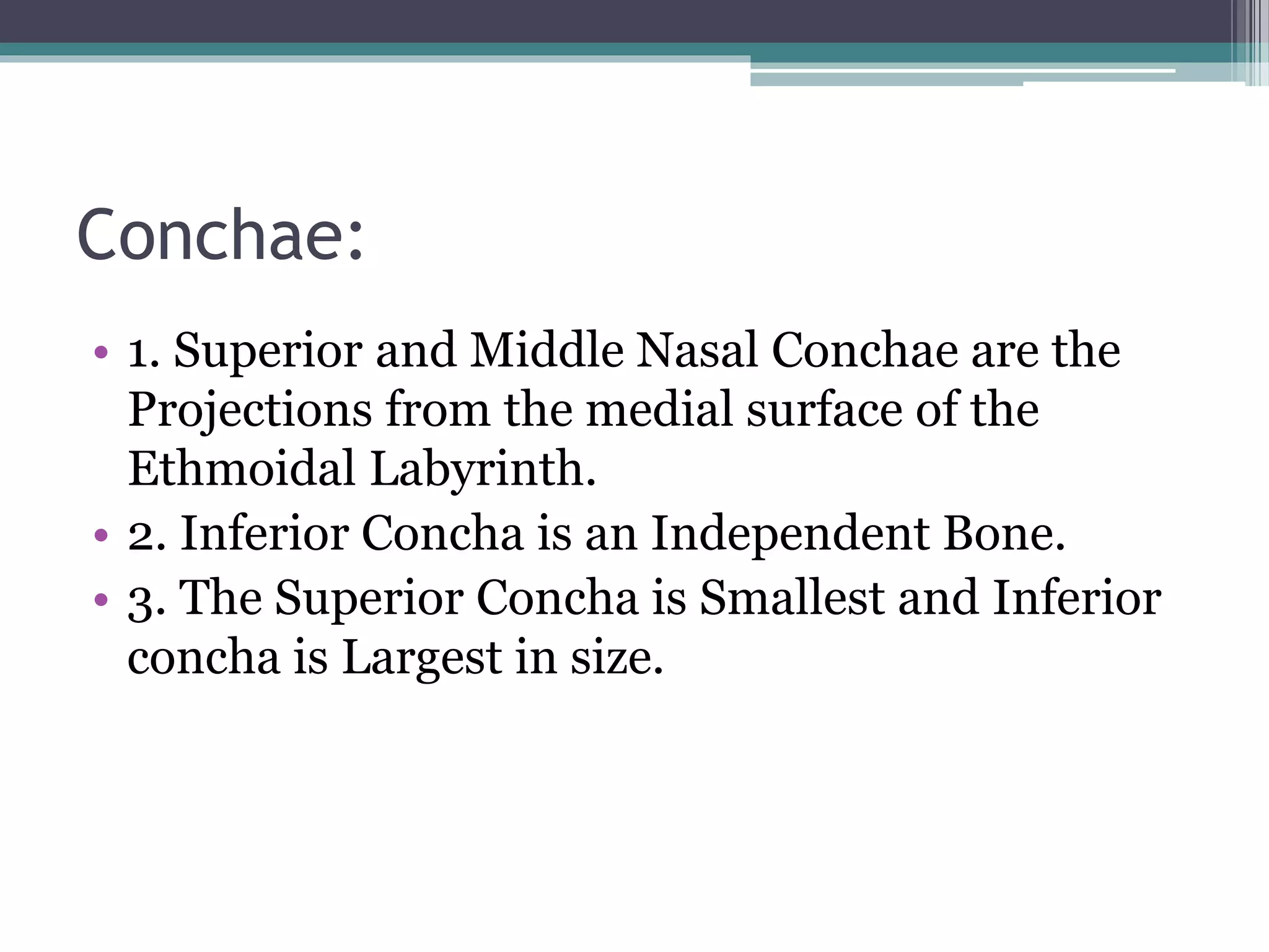 Lateral Wall of Nose | PPTX
