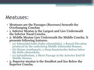 Lateral Wall of Nose | PPTX