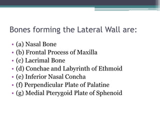 Lateral Wall of Nose | PPTX
