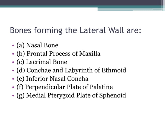 Lateral Wall of Nose | PPTX