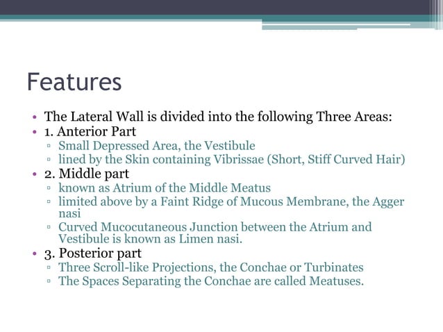 Lateral Wall of Nose | PPTX