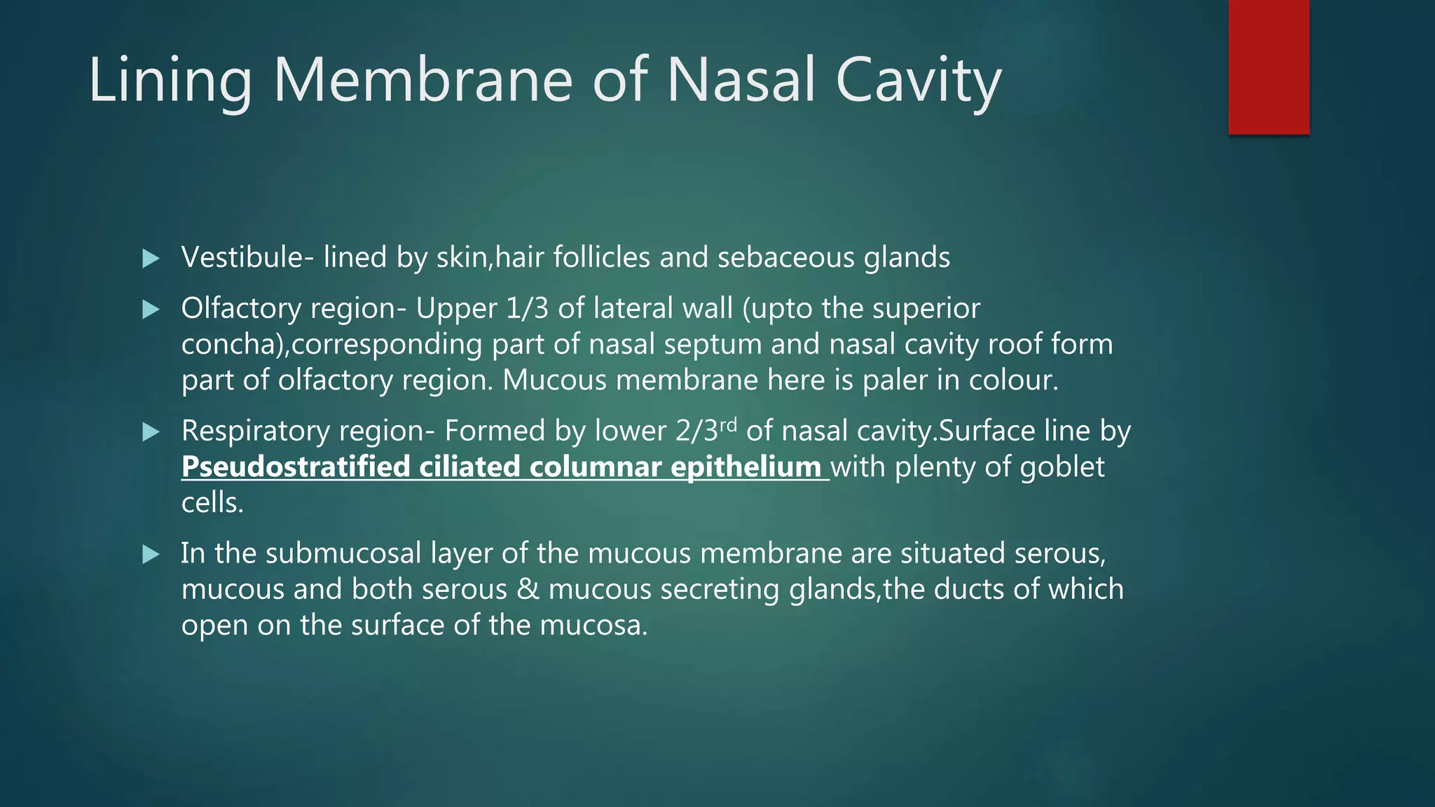 Anatomy of Internal Nose | PPTX