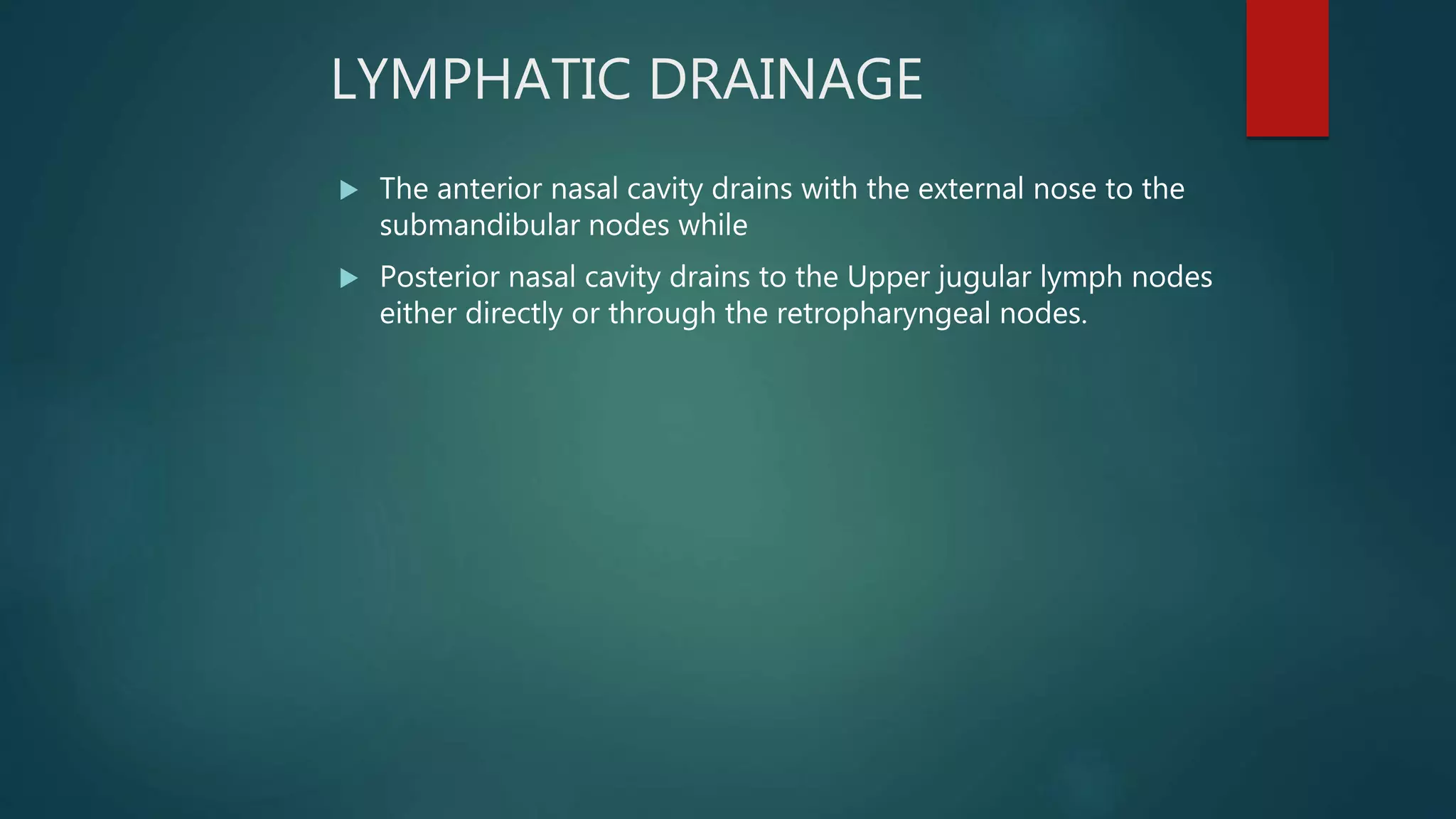 Anatomy of Internal Nose | PPTX