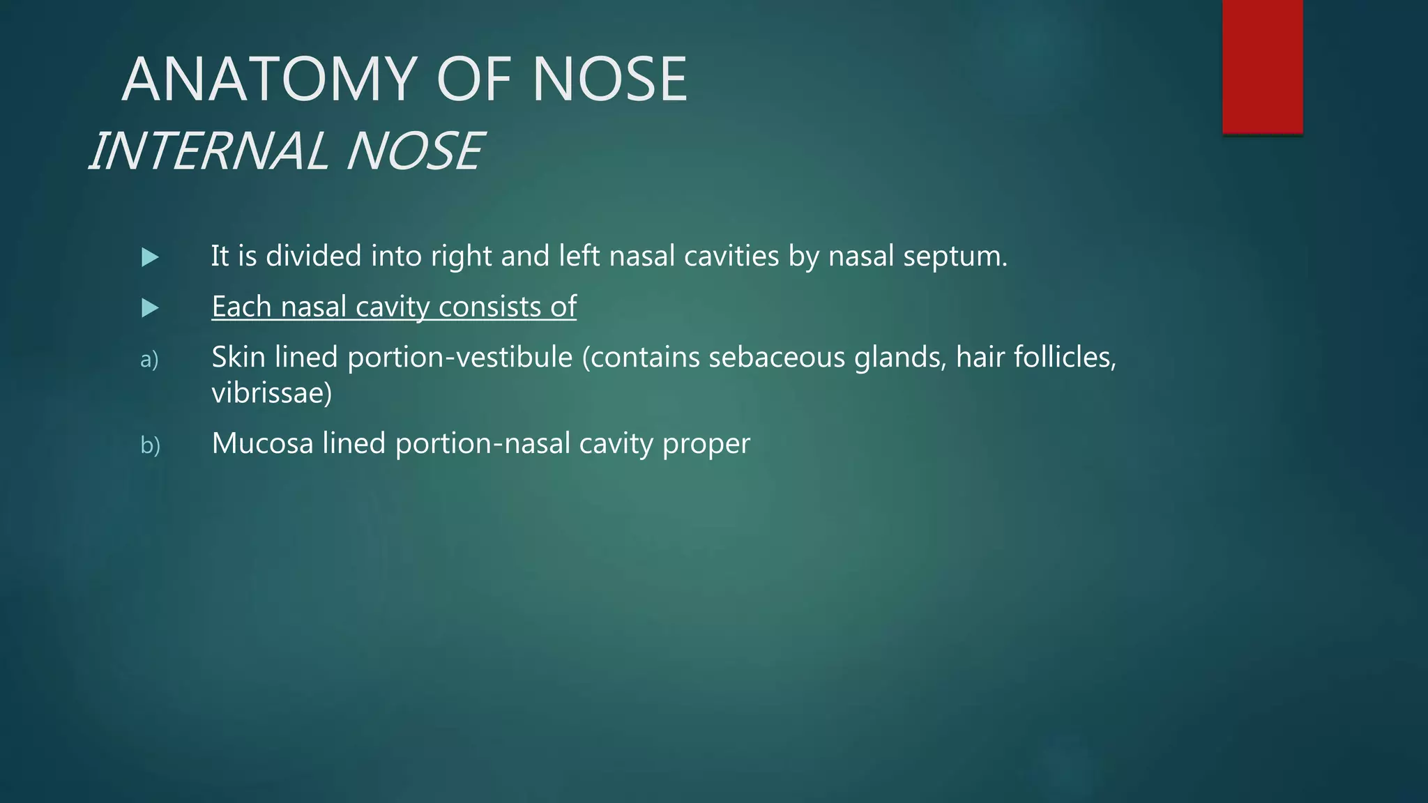 Anatomy of Internal Nose | PPTX | Ear, Nose and Throat Conditions ...