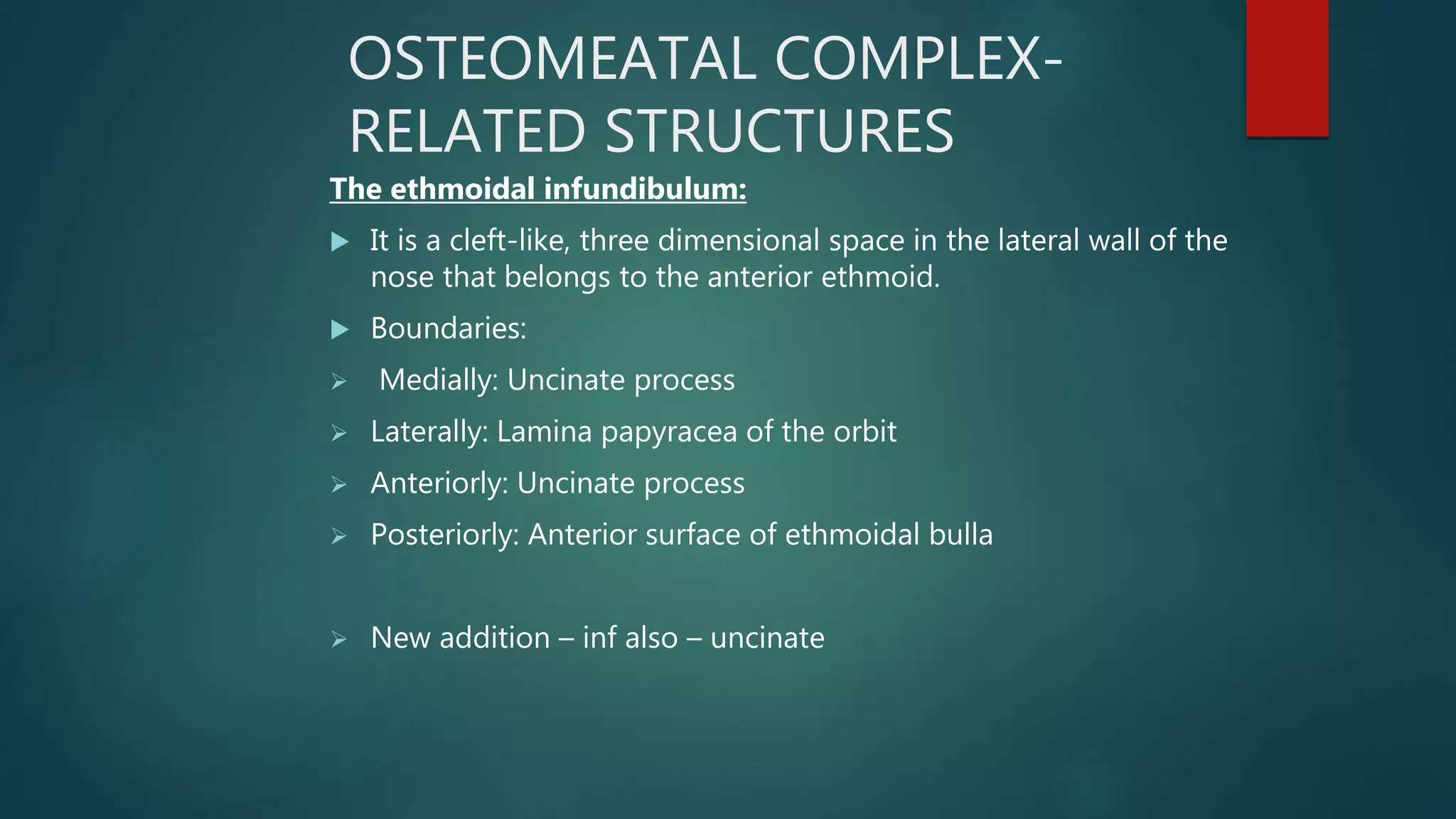 Anatomy of Internal Nose | PPTX