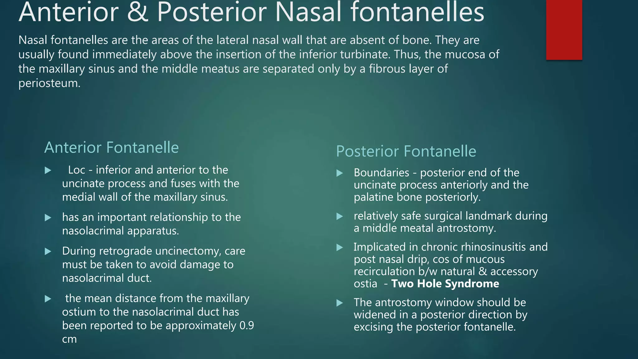 Anatomy of Internal Nose | PPTX