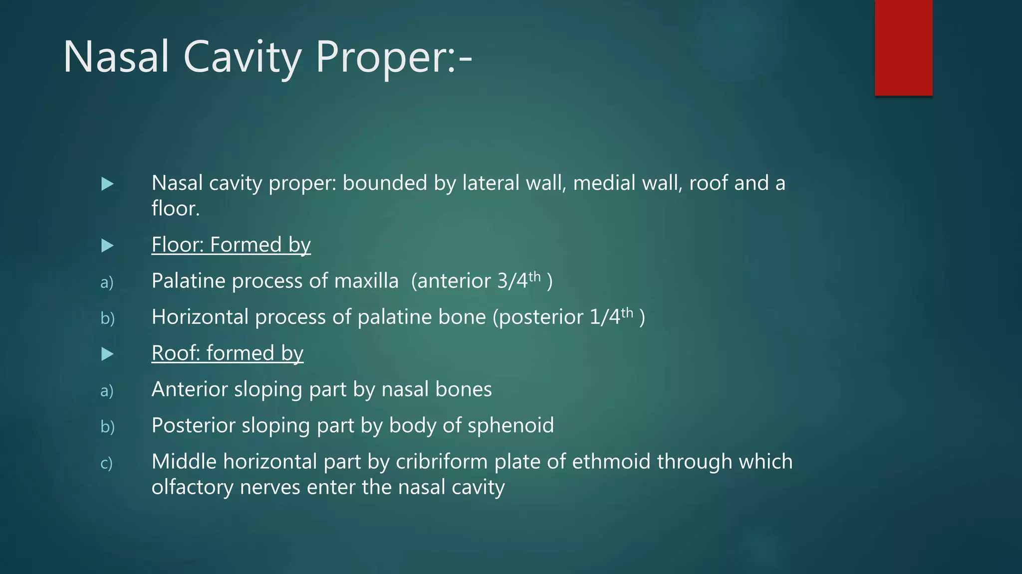 Anatomy of Internal Nose | PPTX