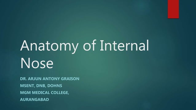 Anatomy of Internal Nose | PPTX | Ear, Nose and Throat Conditions ...