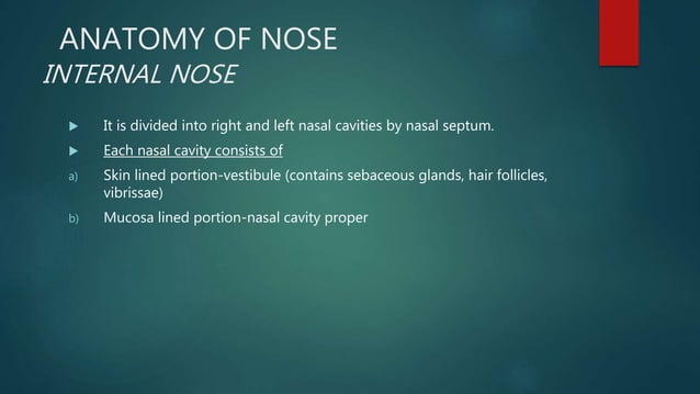 Anatomy of Internal Nose | PPTX | Ear, Nose and Throat Conditions ...