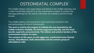 Anatomy of Internal Nose | PPTX