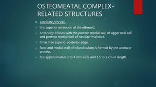 Anatomy of Internal Nose | PPTX