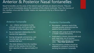 Anatomy of Internal Nose | PPTX