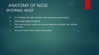 Anatomy of Internal Nose | PPT