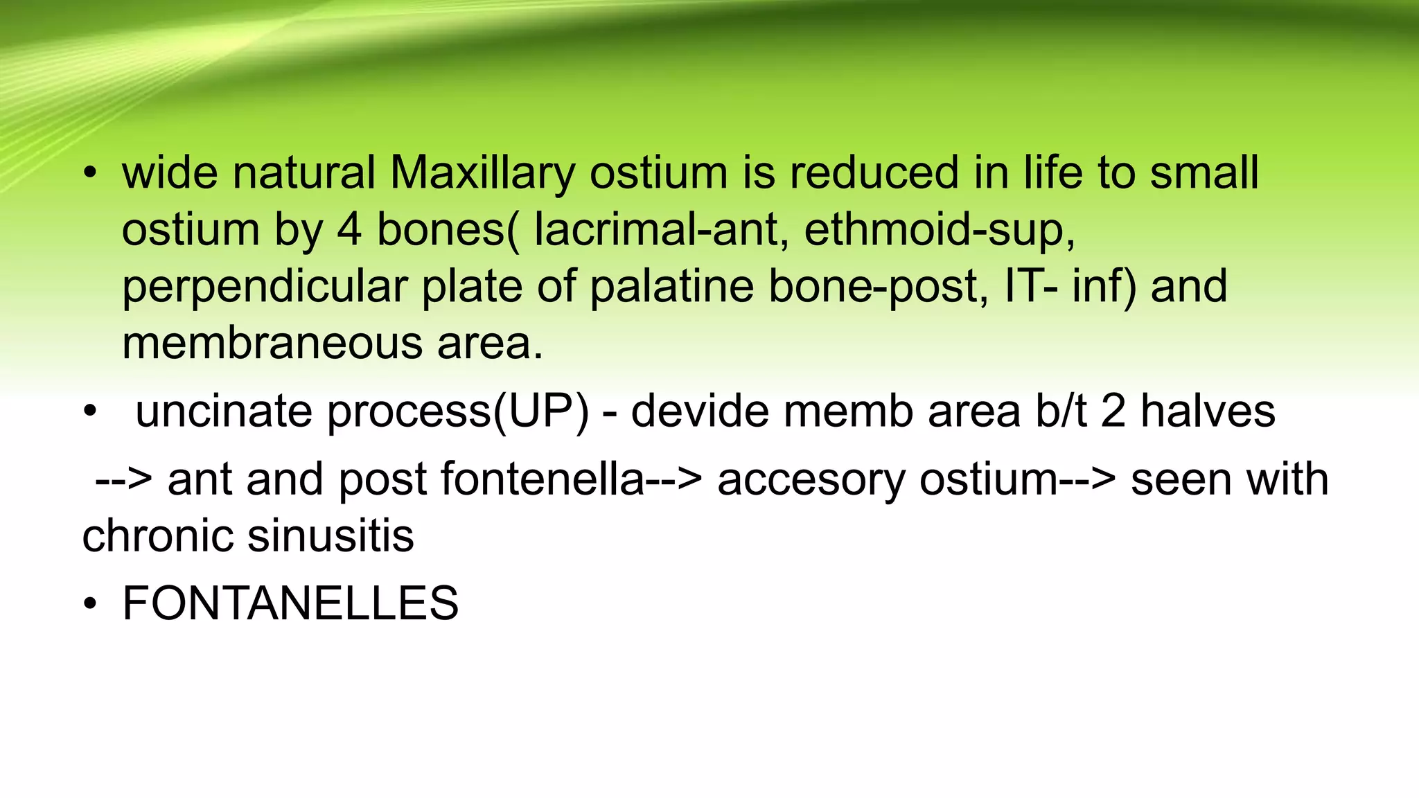 LATERAL WALL OF NOSE.pptx