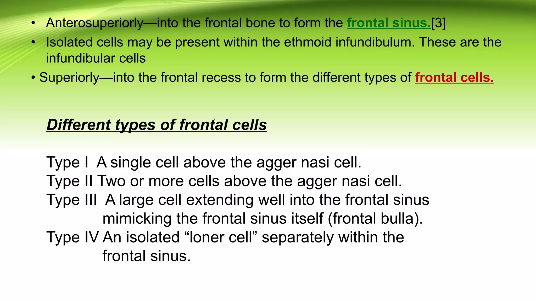 LATERAL WALL OF NOSE.pptx
