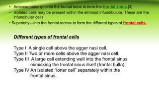 LATERAL WALL OF NOSE.pptx