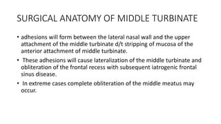 lateral wall of nose.pptx