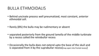lateral wall of nose.pptx