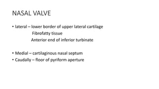 lateral wall of nose.pptx