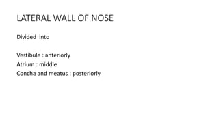 lateral wall of nose.pptx