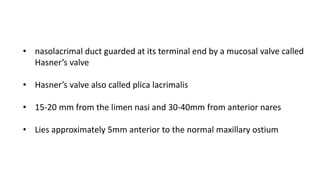 lateral wall of nose.pptx