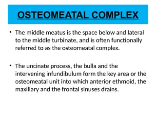 LATERAL WALL OF Nose 2.mckdnejejheijfjpptx | PPTX
