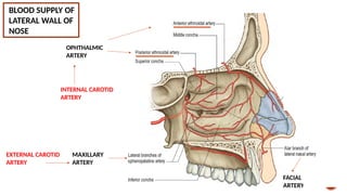 Lateral wall of nose and paranasal sinuses.pptx
