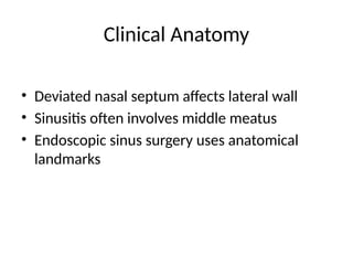 Lateral_Wall_of_Nose_PPT_4534345667.pptx