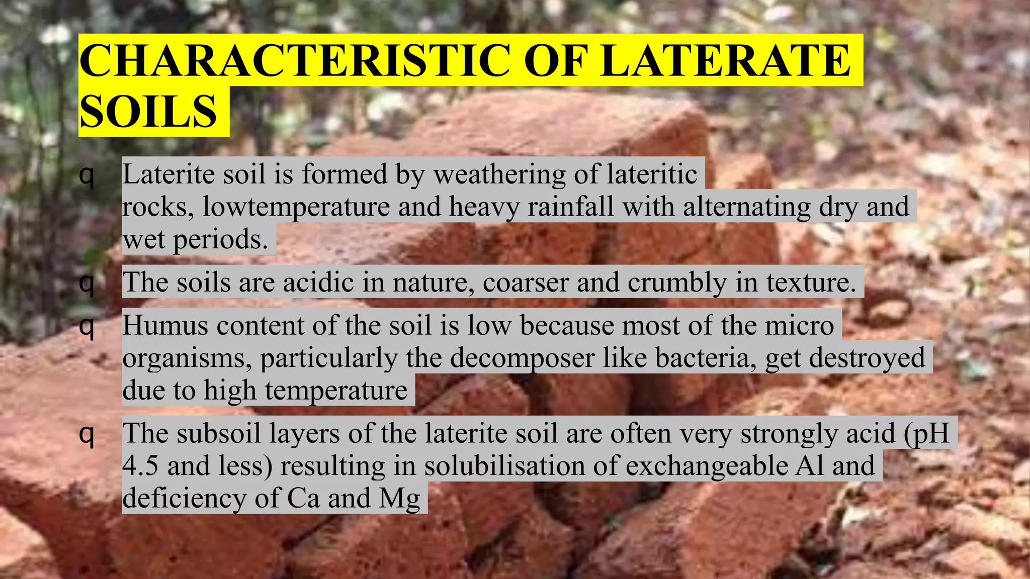 Laterate soil... first year deploma | PPTX