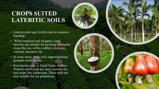 Laterate soil... first year deploma | PPTX