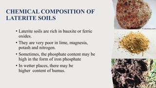 Laterate soil... first year deploma | PPTX