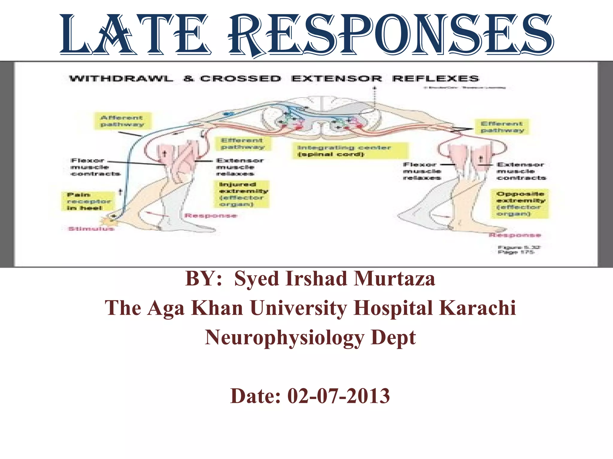 Late Responses (F-wave and H.Reflex) | PPT