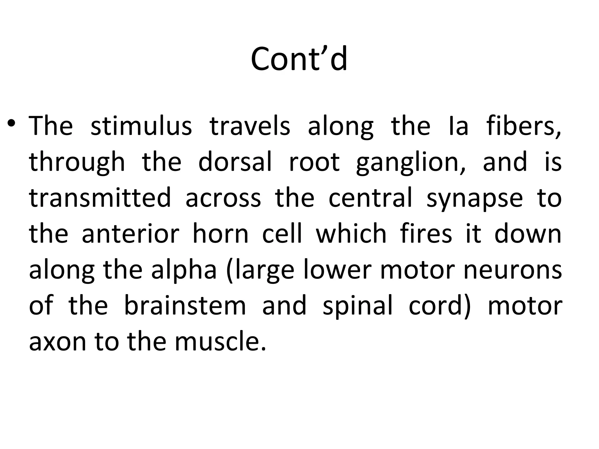 Late Responses (F-wave and H.Reflex) | PPT