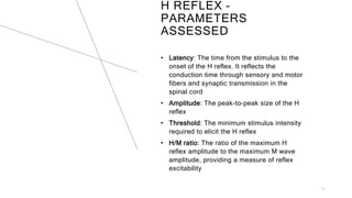Late Responses in Neurophysiology.pptx | Brain and Nervous System ...