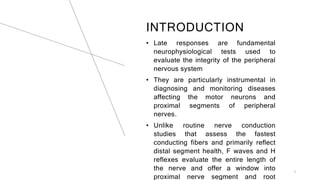 Late Responses in Neurophysiology.pptx