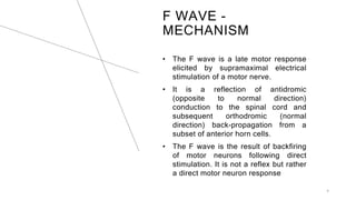 Late Responses in Neurophysiology.pptx | Brain and Nervous System ...