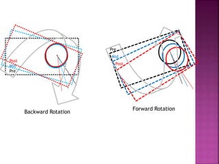 Later stages in development | PPT
