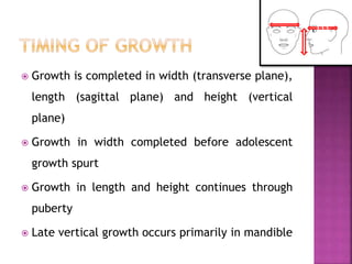 Later stages in development | PPT