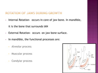 Later stages in development | PPT