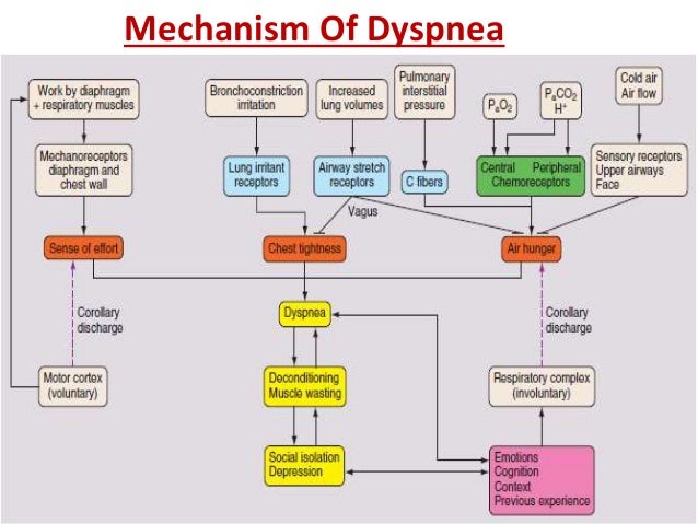 Dyspnoea & Respiratory Failure