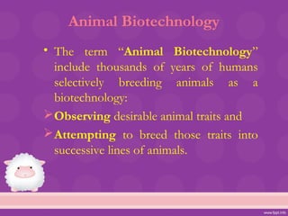 Latest advances in animal biotechnology and its current status in ...