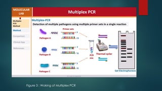 Latest Advancements in PCR (Polymerase Chain Reaction) | PPTX