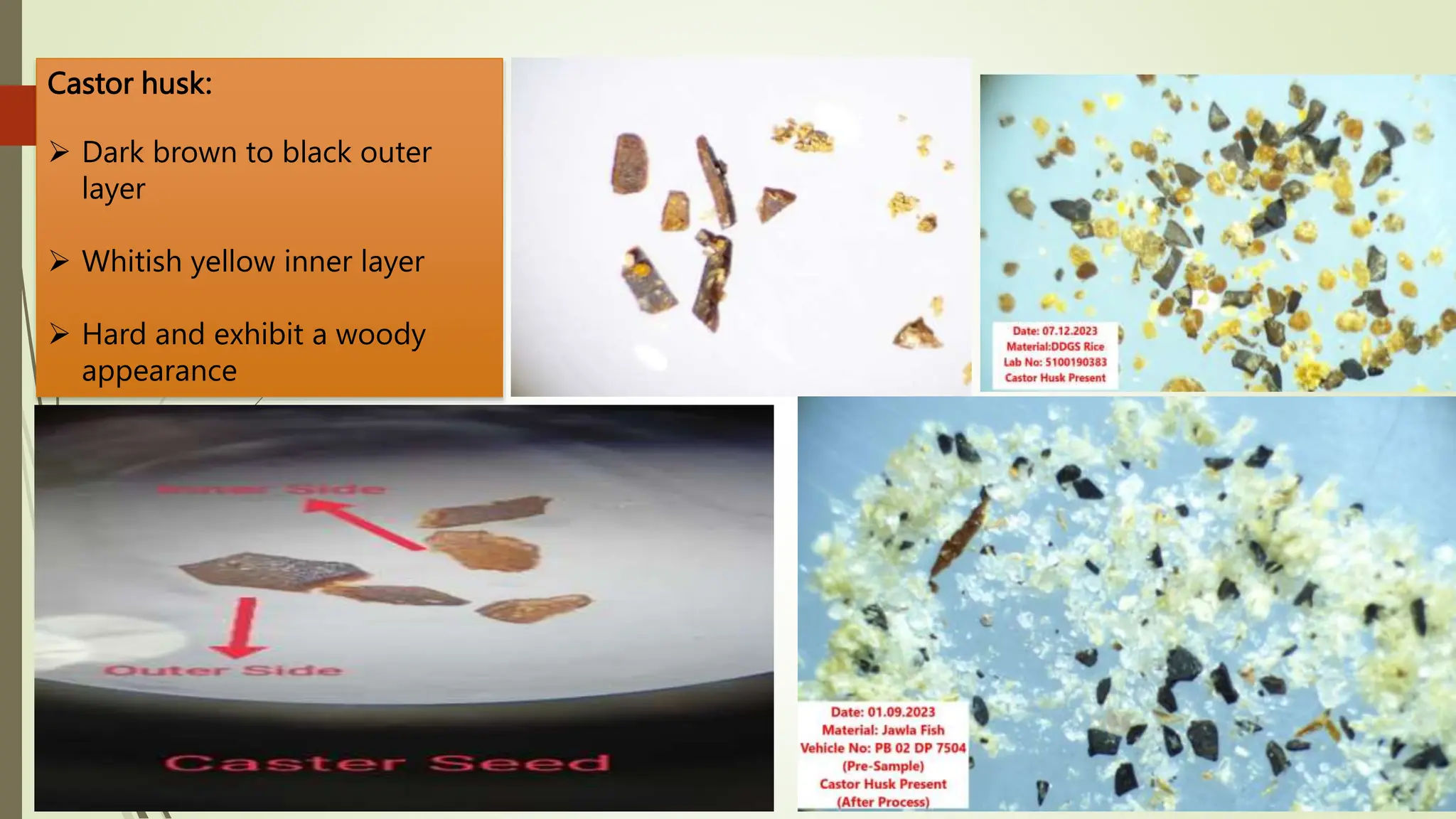 Latest Concept in Feed Microscopy/ adulteration, contamination of ...