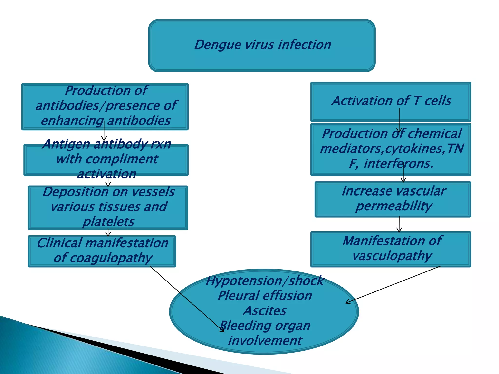 latest Dengue.pptx